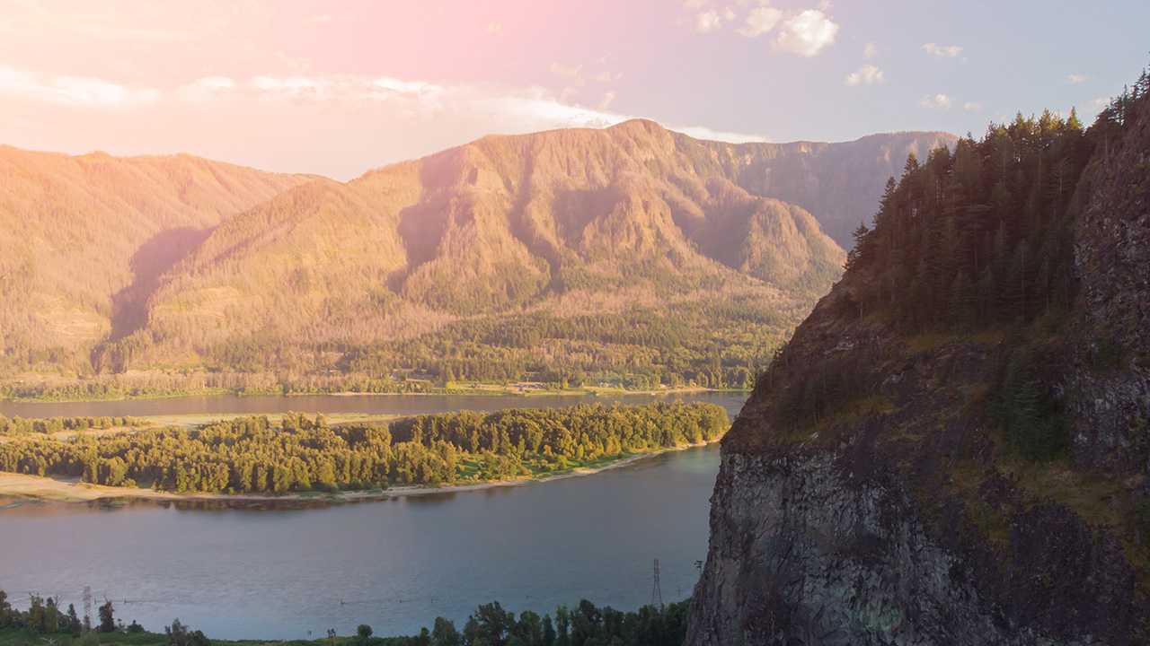 Market insights and technology deployment outlook | LCP Delta